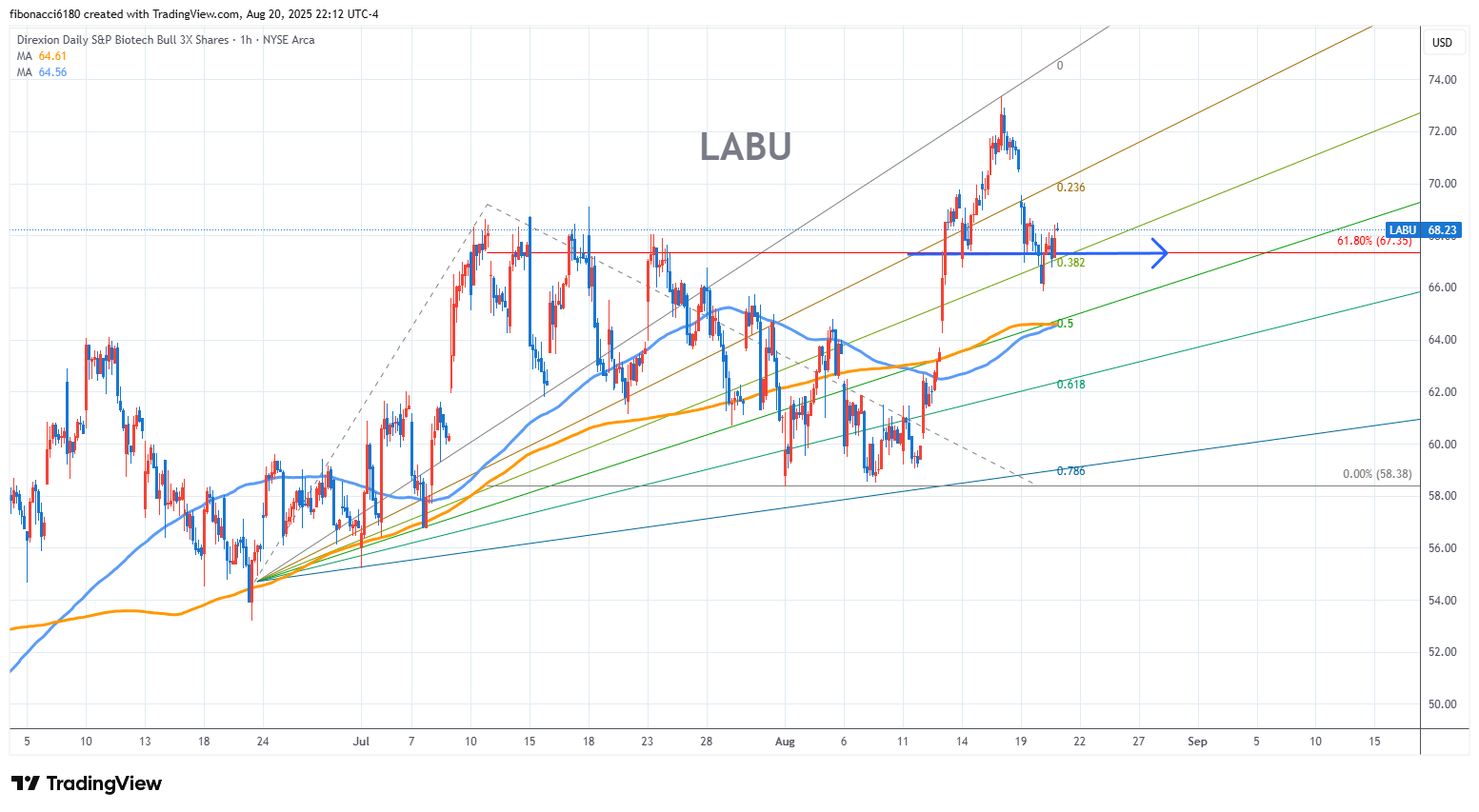 Labu Stock Chart Fibonacci Analysis 082025 – fibonacci6180