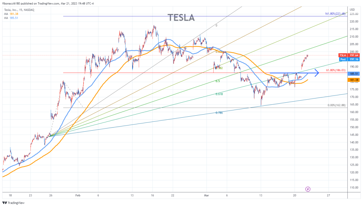 TESLA Stock Chart Fibonacci Analysis 032123 – fibonacci6180
